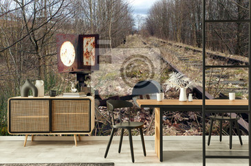 Naklejka Nieczynna linia kolejowa Sierakowice - Kartuzy na wymiar ...