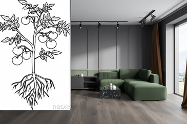 coloring pages of tomato plants