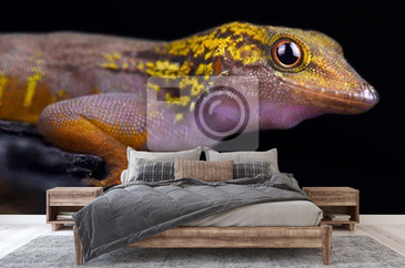 Naklejka Psychedelic rock gecko Cnemaspis authentic psychedelica