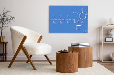 thymidine triphosphate ttp