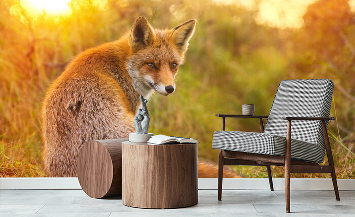 Sticker Fuchs in der untergehenden Sonne nach Maß - myredro.de