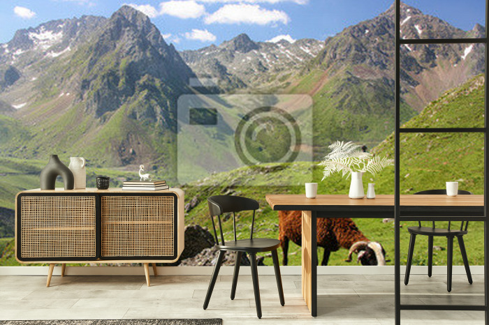 Fototapeta Brebis des Pyrénées na wymiar • widok, młody, charakter ...