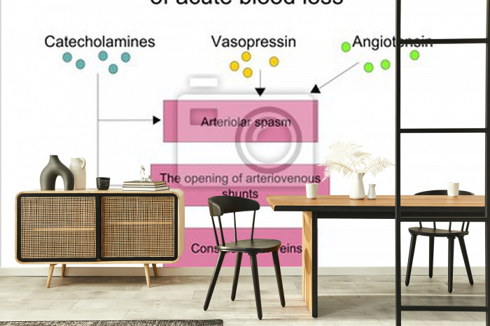 Fototapeta Centralizacja krążenia krwi w przypadku ostrej utraty krwi ...