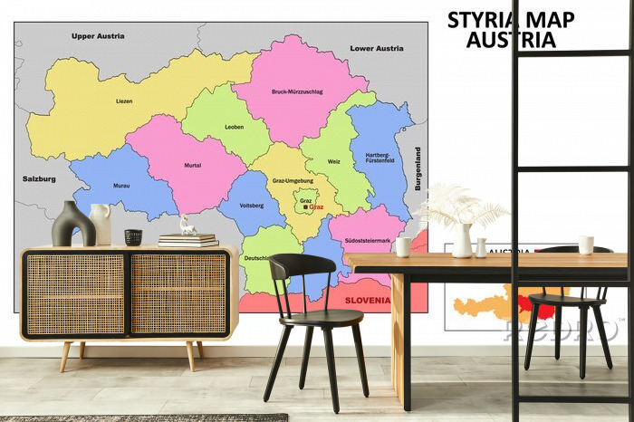 Fototapeta Styria Map. State and district map of Styria. Political map ...