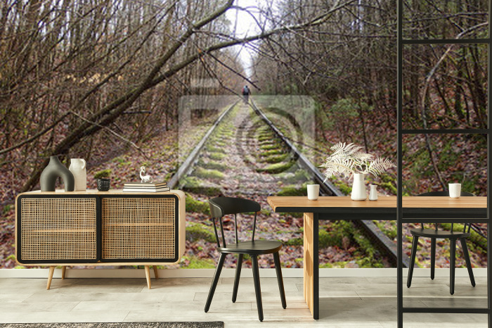 Naklejka Nieczynna linia kolejowa Sierakowice - Kartuzy na wymiar ...