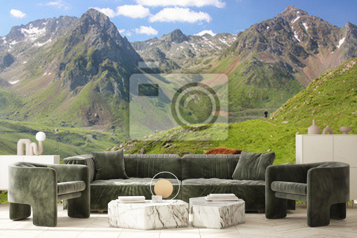 Fototapeta Brebis des Pyrénées na wymiar • widok, młody, charakter ...