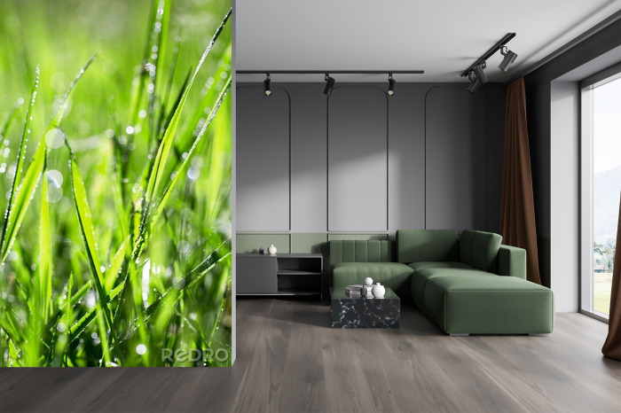 Naklejka Źdźbło trawy w porannej rosy na wymiar • żółty, młody, tło ...