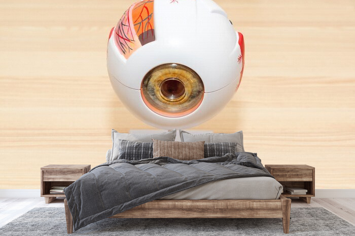 Naklejka Enlarged anatomical eye model. Eye anatomy, human eye cross ...