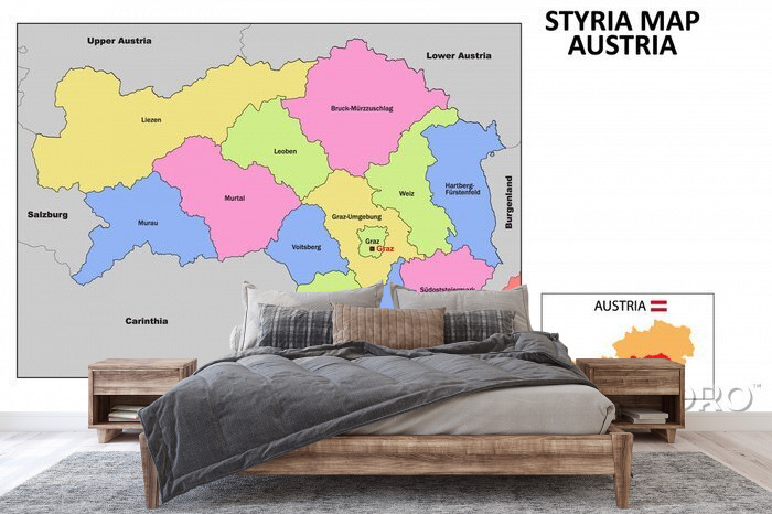 Naklejka Styria Map. State and district map of Styria. Political map of ...