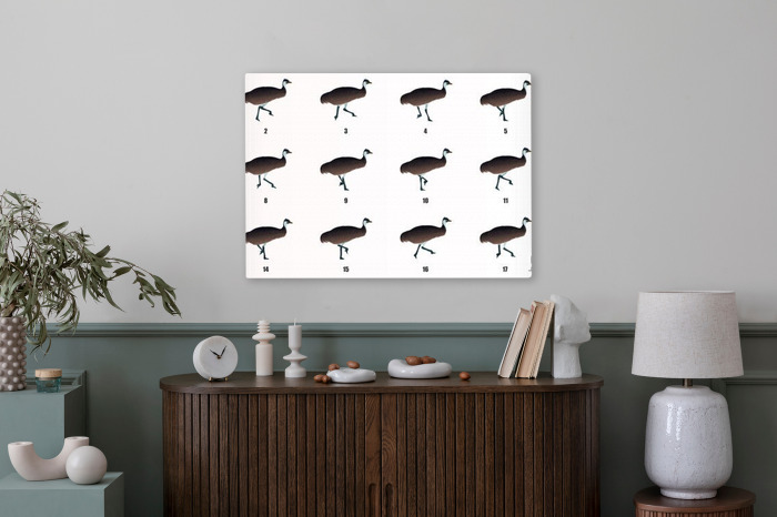 Obraz Emu run Cycle animation sequence, loop animation sprite sheet na ...