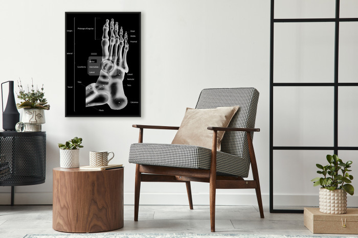 Plakat Infografika schemat anatomii ludzkiej stopy anatomii systemu na ...