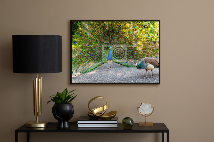 Plakat Paw samiec i samica na wymiar • piękno, elegancja, elegancki ...