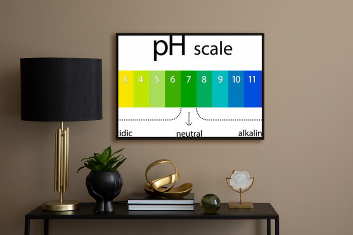 Plakat pH scale chart for acid and alkaline solutions. Acid-base ...