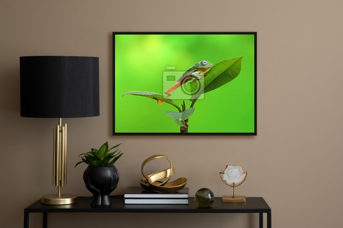 Plakat Tree Frog, Flying Frog walk on leaves na wymiar • ropucha, noc ...