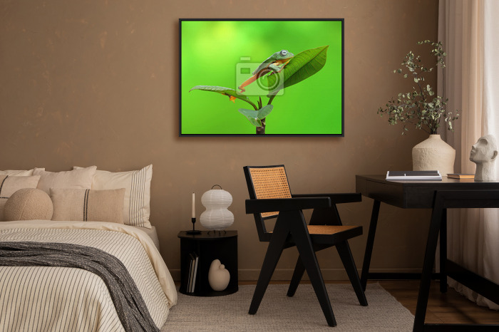 Plakat Tree Frog, Flying Frog walk on leaves na wymiar • ropucha, noc ...