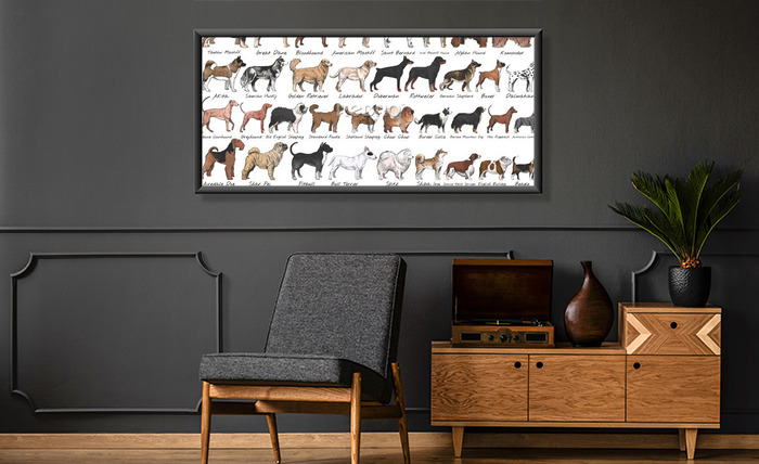 Poster Différentes races de chiens sur mesure – redro.fr