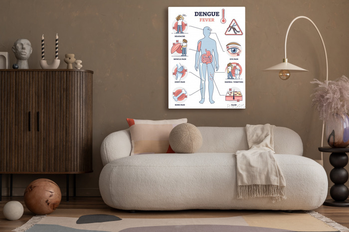 Obraz Dengue fever symptoms awareness poster, educational vector ...